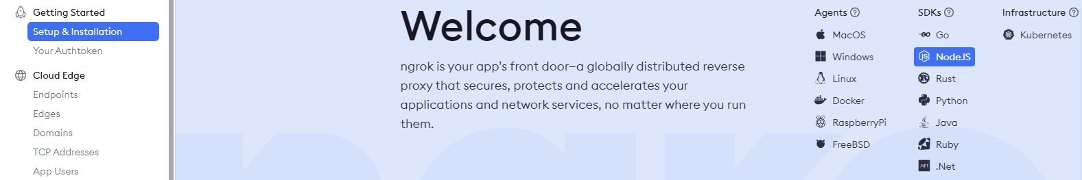 ngrokを使ってみる（OAuth、GitHub、Node-RED） - 趣味的ロボット研究所