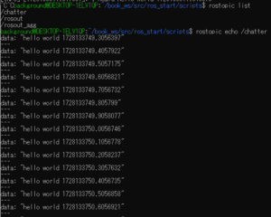 ROS1を使ってみる その2（PythonのコードでPublishとSubscribe） | 趣味的ロボット研究所